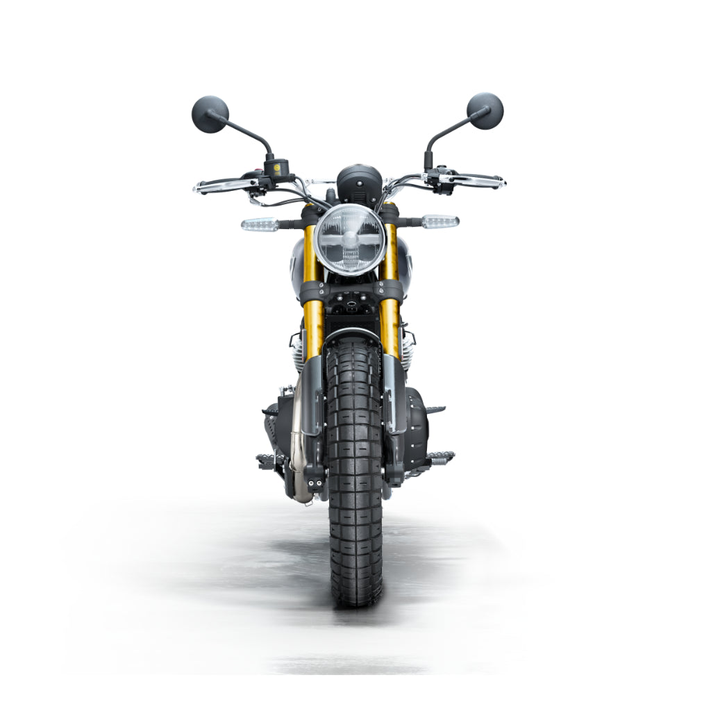 Royal Enfield Interceptor Bear 650 - Krazy Horse